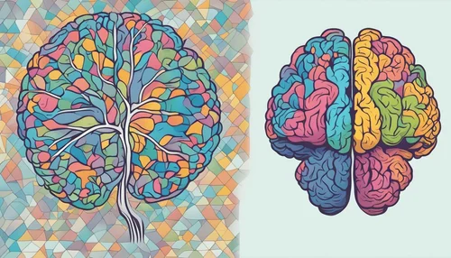 OCD Brain vs Normal Brain: Understanding Key Differences