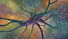 5 Groundbreaking Theories on the Origins of Psychopathy: New Insights