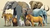 8 Personality Types Jung: Understanding Human Behavior and Personal ...