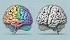 Sociopath Brain vs Normal Brain: Understanding Neural Differences