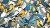 4 Bird Personality Types: Insights into Human Behavior and Personal Growth