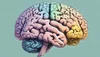 Sociopath Brain: Understanding Neural Patterns in Antisocial Personalities