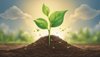 Growth Mindset's Impact on Moral and Ethical Development