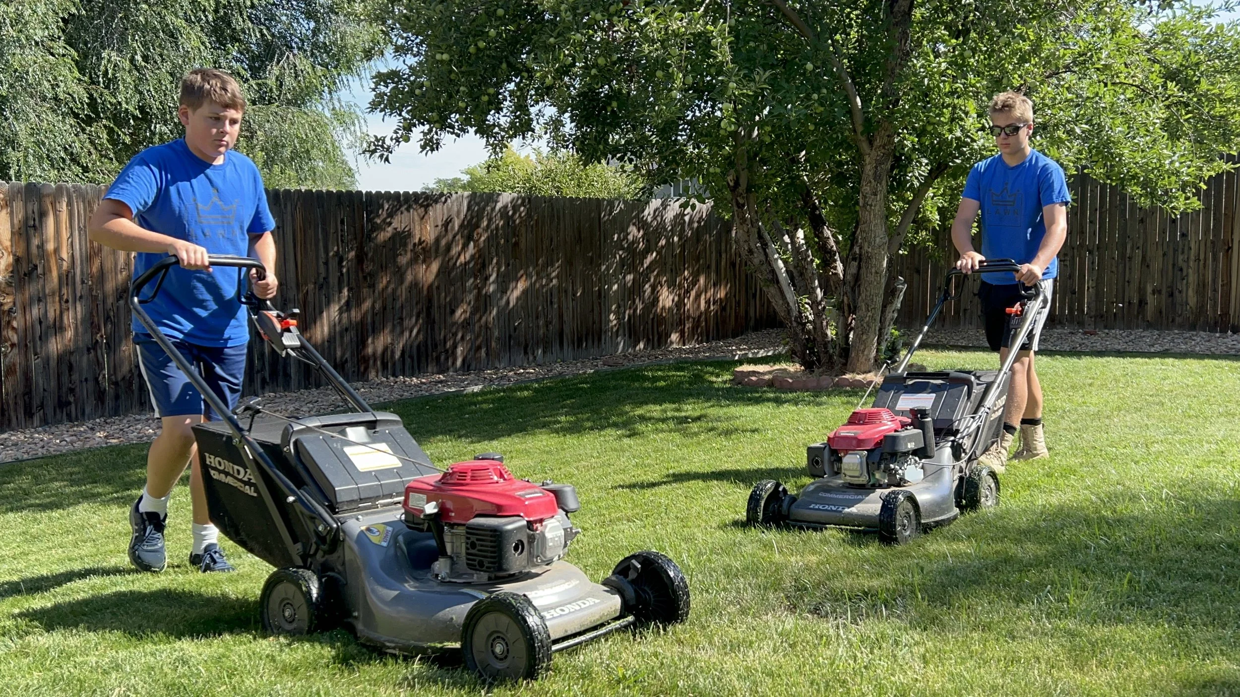 Lawn Kings Home