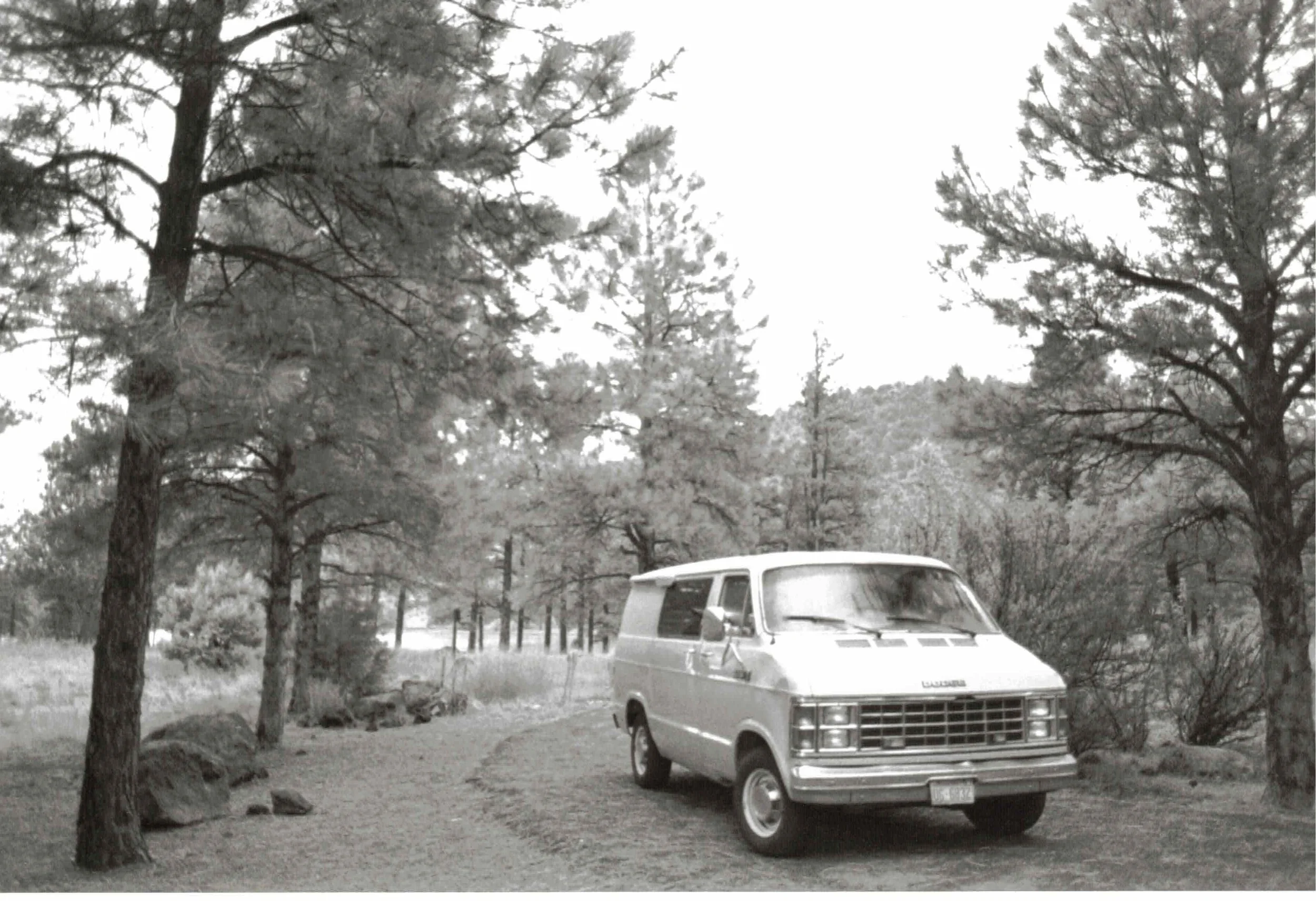 Peter Darchuk / Creative