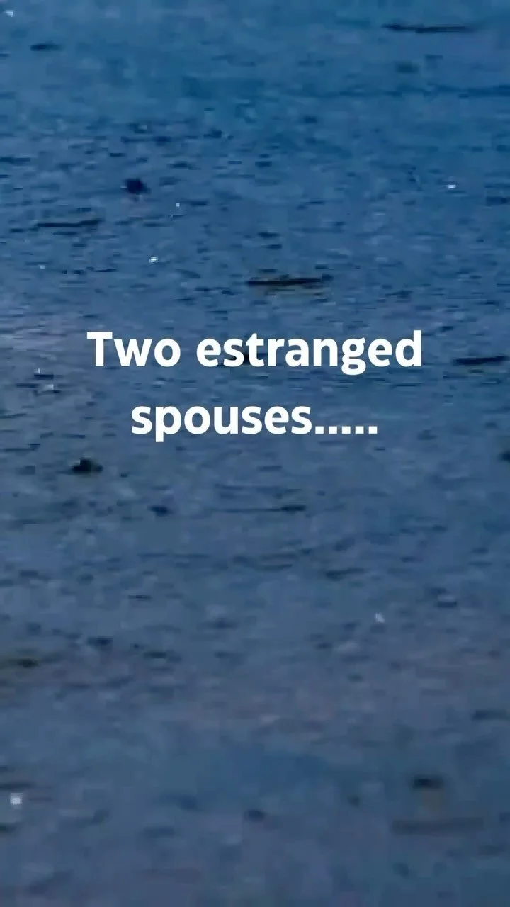 About — Naina Kumar: Writer