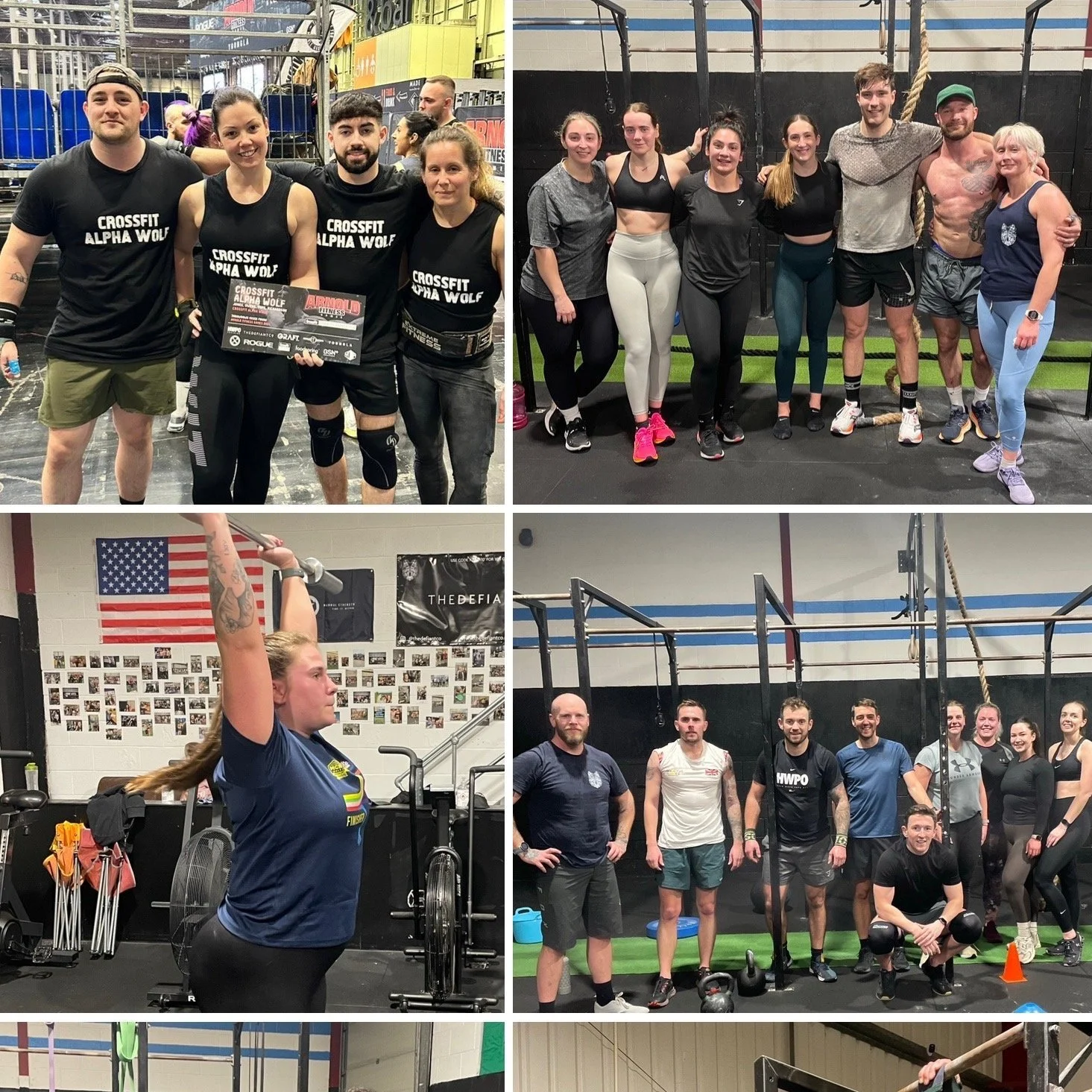 MEMBERSHIP — Alpha Wolf