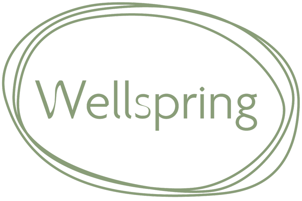 Wellspring Spiritual Direction & Ministry Supervision with Jacinda Lilly