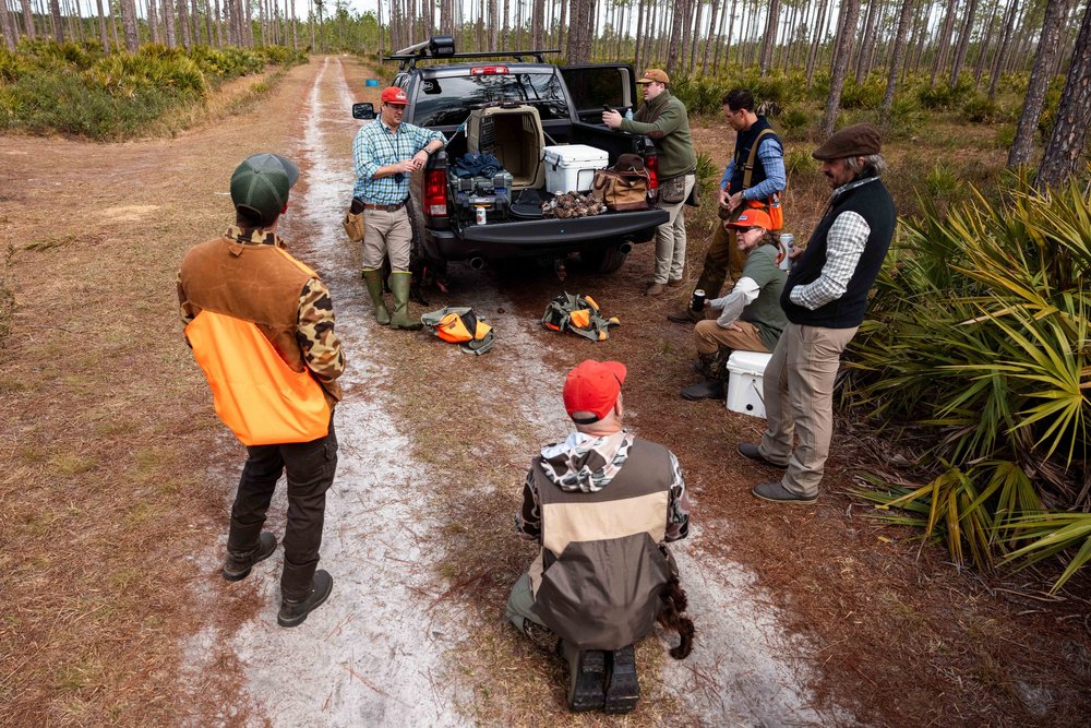 Florida Quail Hunting — Historic Coast Outfitters
