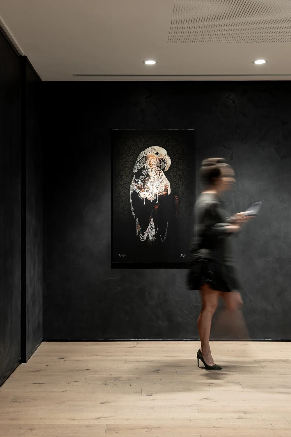 Hobson Leavy Office - textured black walls — Ambitec