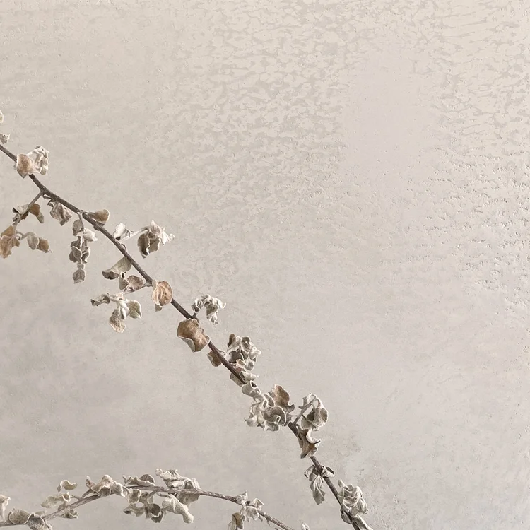 Suave Polished Plaster – Contemporary Finish | Ambitec — Ambitec
