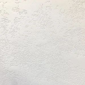 Suave Polished Plaster – Contemporary Finish | Ambitec — Ambitec