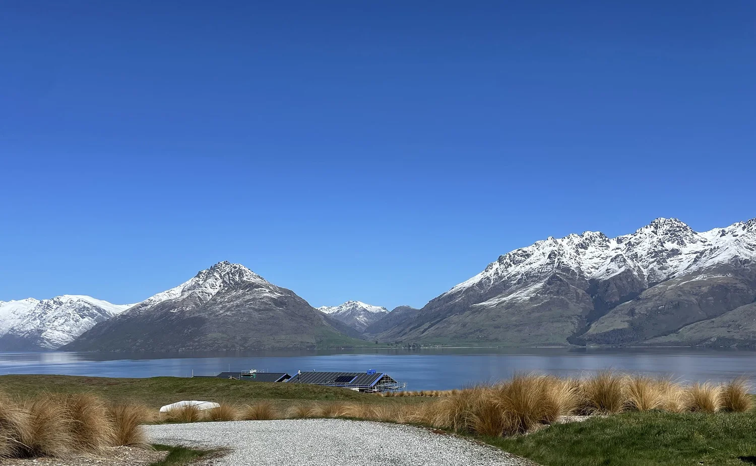Polished Plaster Across New Zealand: North to South — Ambitec