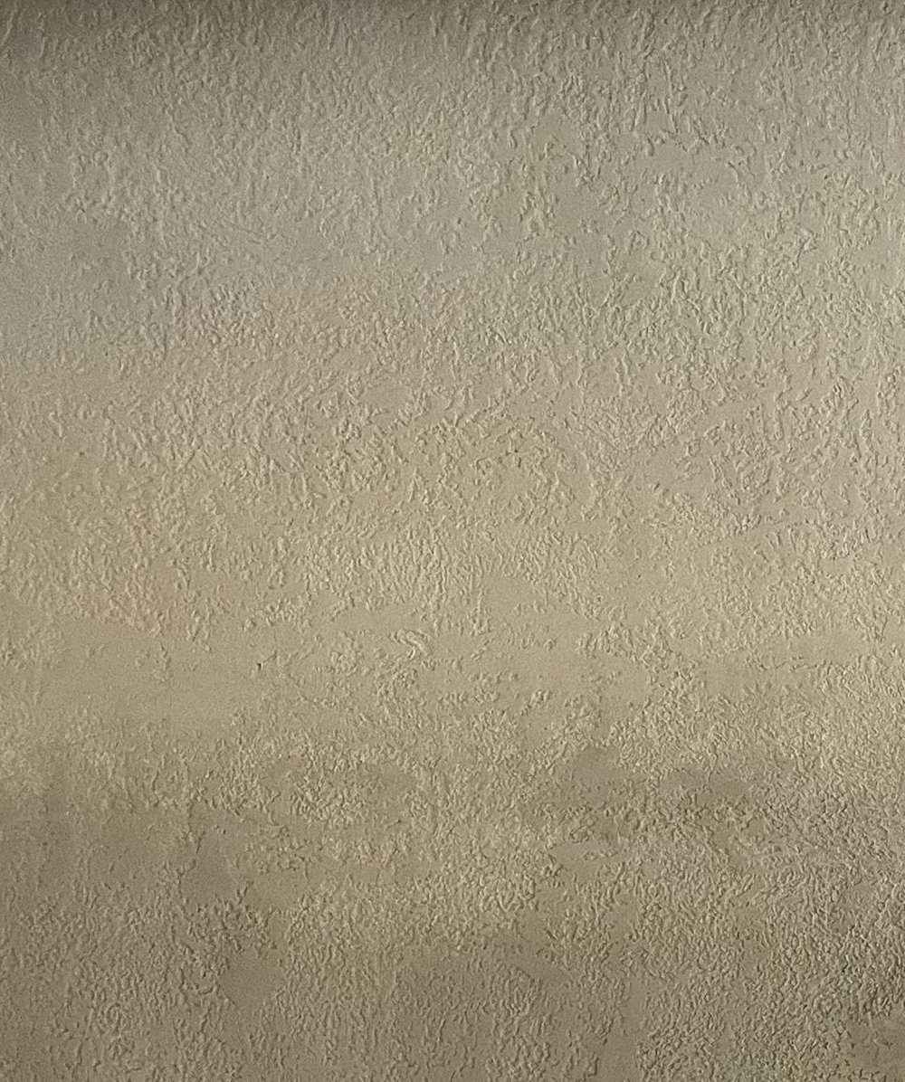 SuaveStone Polished Plaster – Earthy Finish | Ambitec — Ambitec