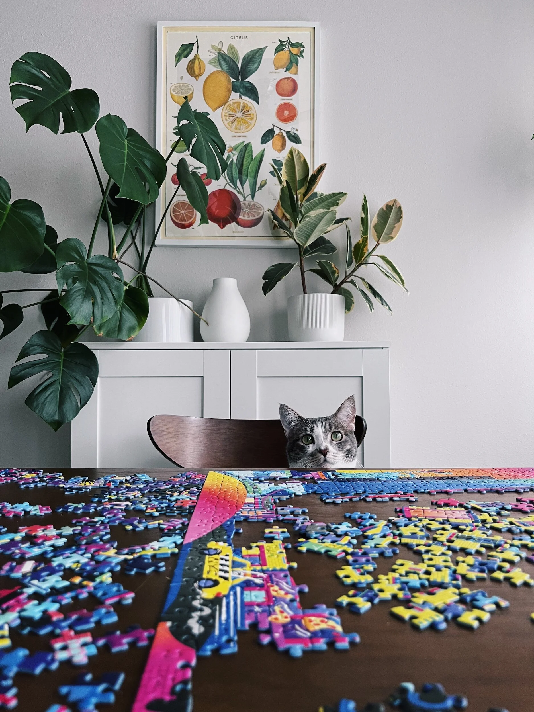 Puzzle Club | Join Puzzle Enthusiasts Today — USA Jigsaw Puzzle Association
