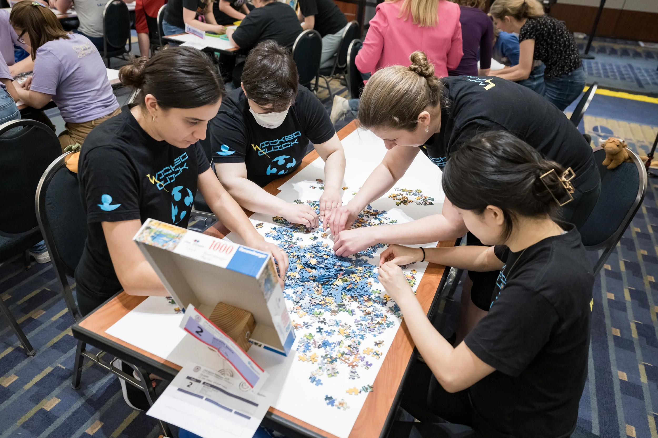 2025 Results | Explore Results & Join the Competition — USA Jigsaw ...
