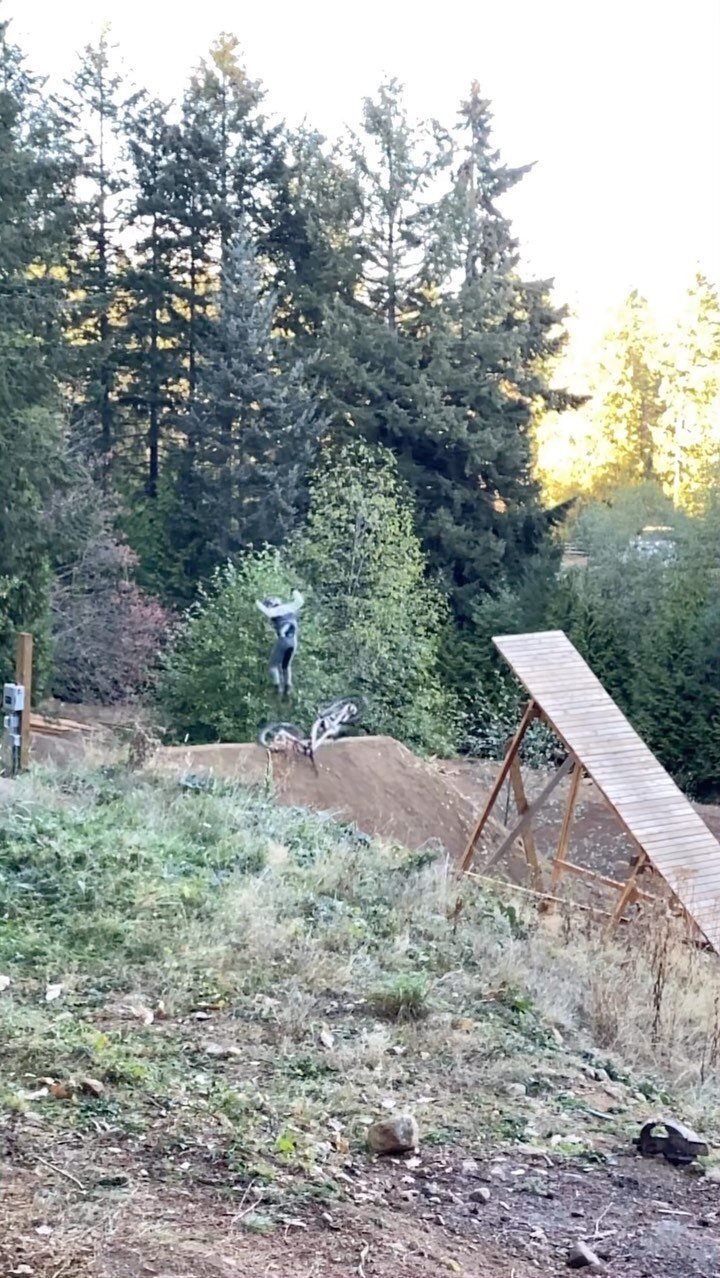 Socials — Reece Wallace