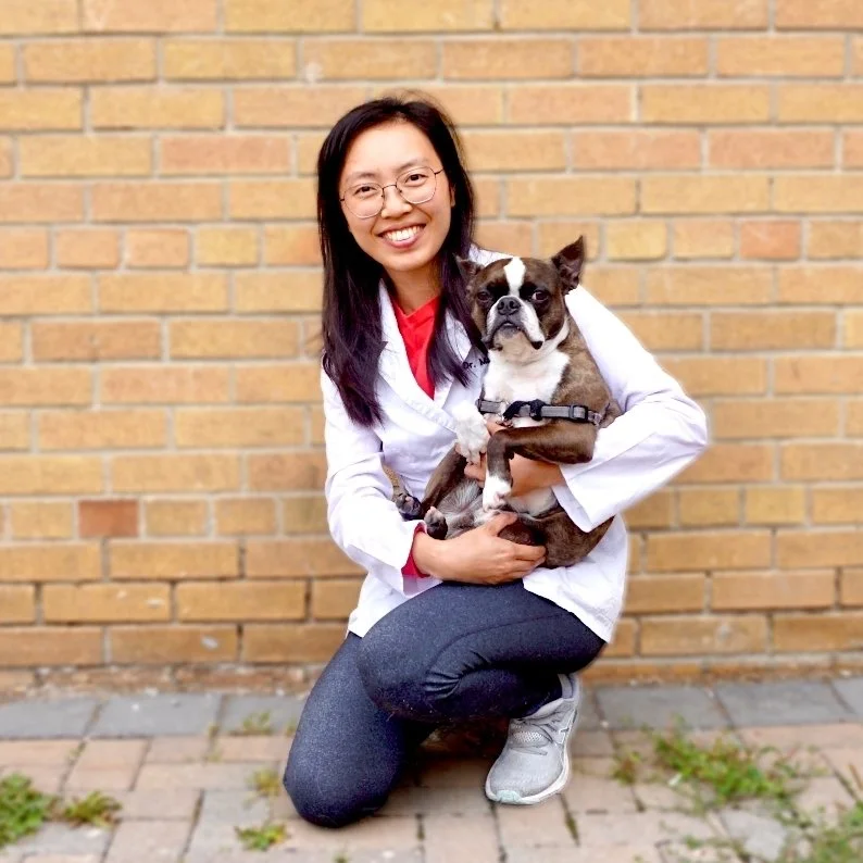 Meet Our Team — BloorMill Veterinary Hospital