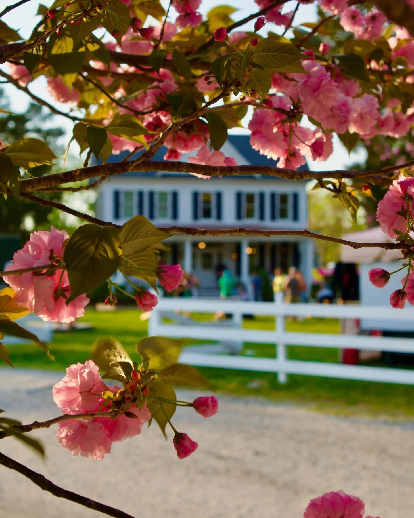 Back Bay Brew House Farmhouse