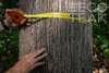 ECO TEAK
