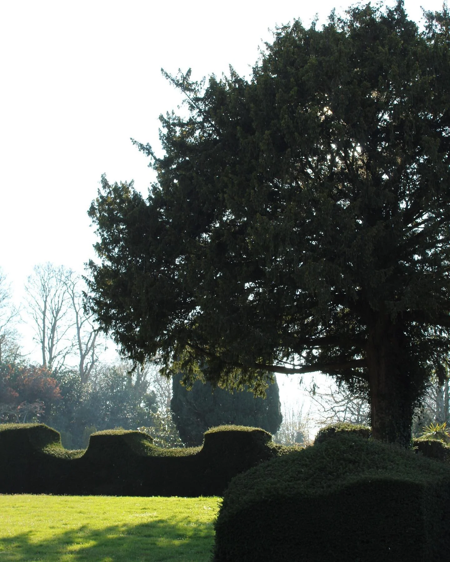 Weddings — Woodmancote Place