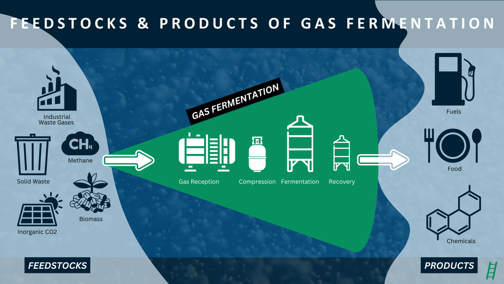 Tips for Working with Gas Fermentation: Scale up Considerations for Gas ...