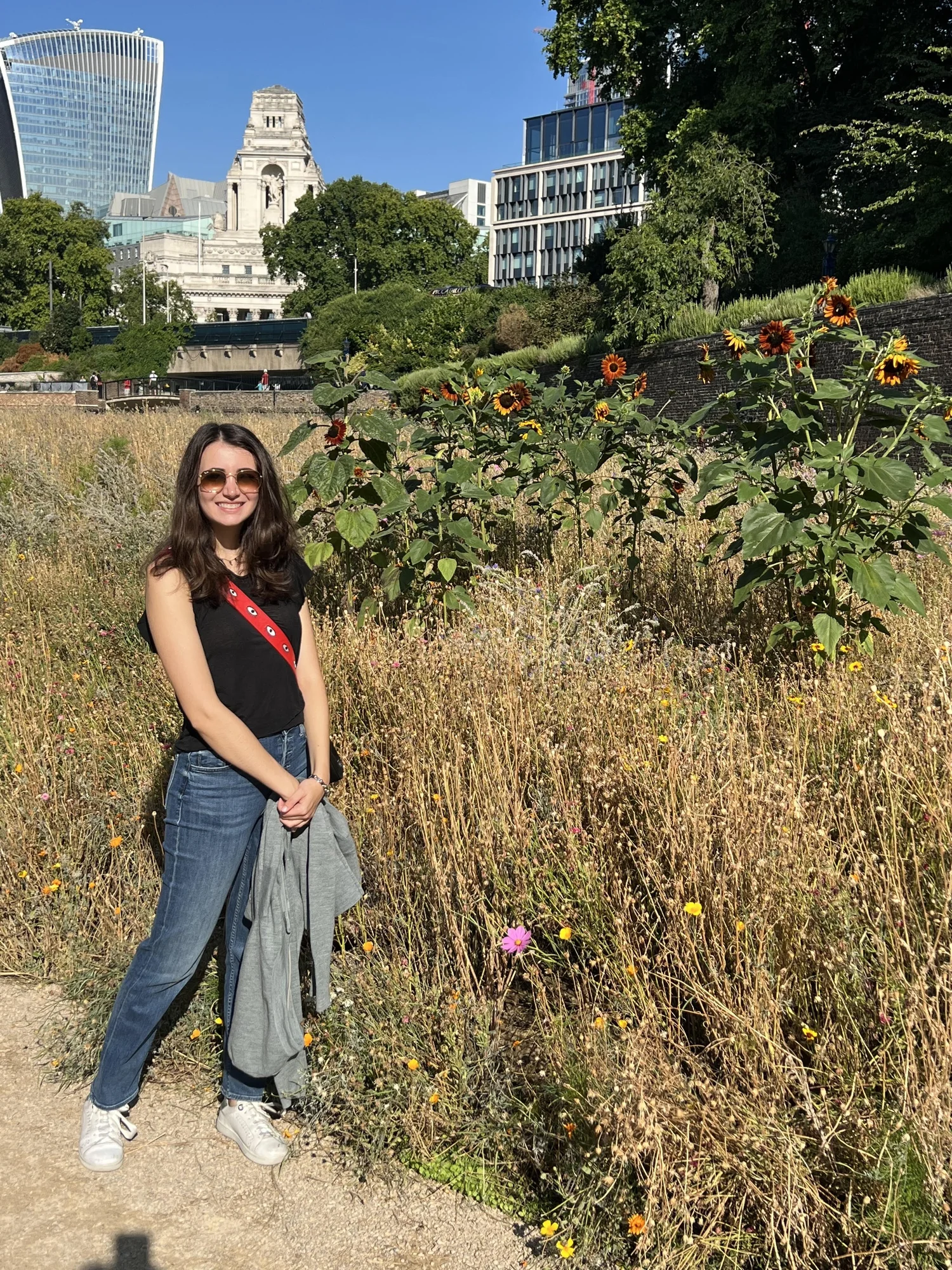 Taryn Sparacino — Next Rung Technology