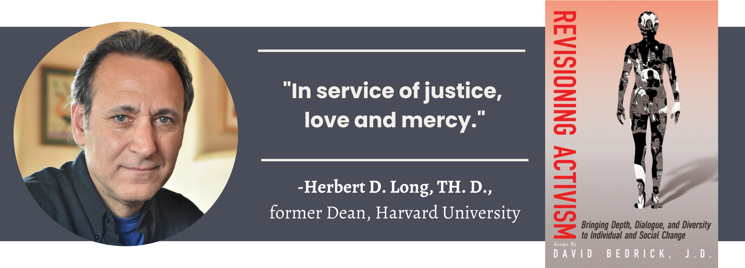 Revisioning Activism — DAVID BEDRICK