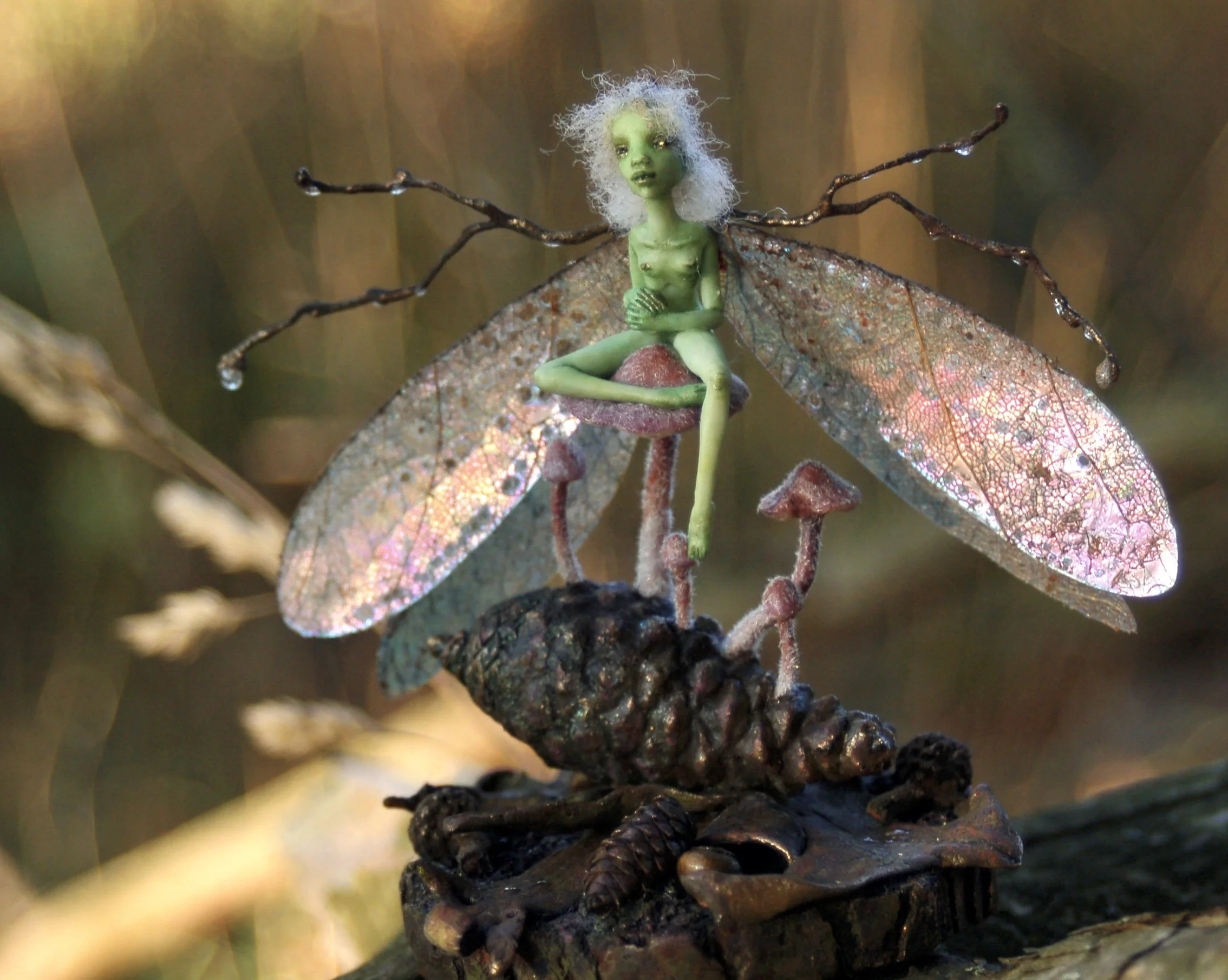 Home — Chicory Dell Arts