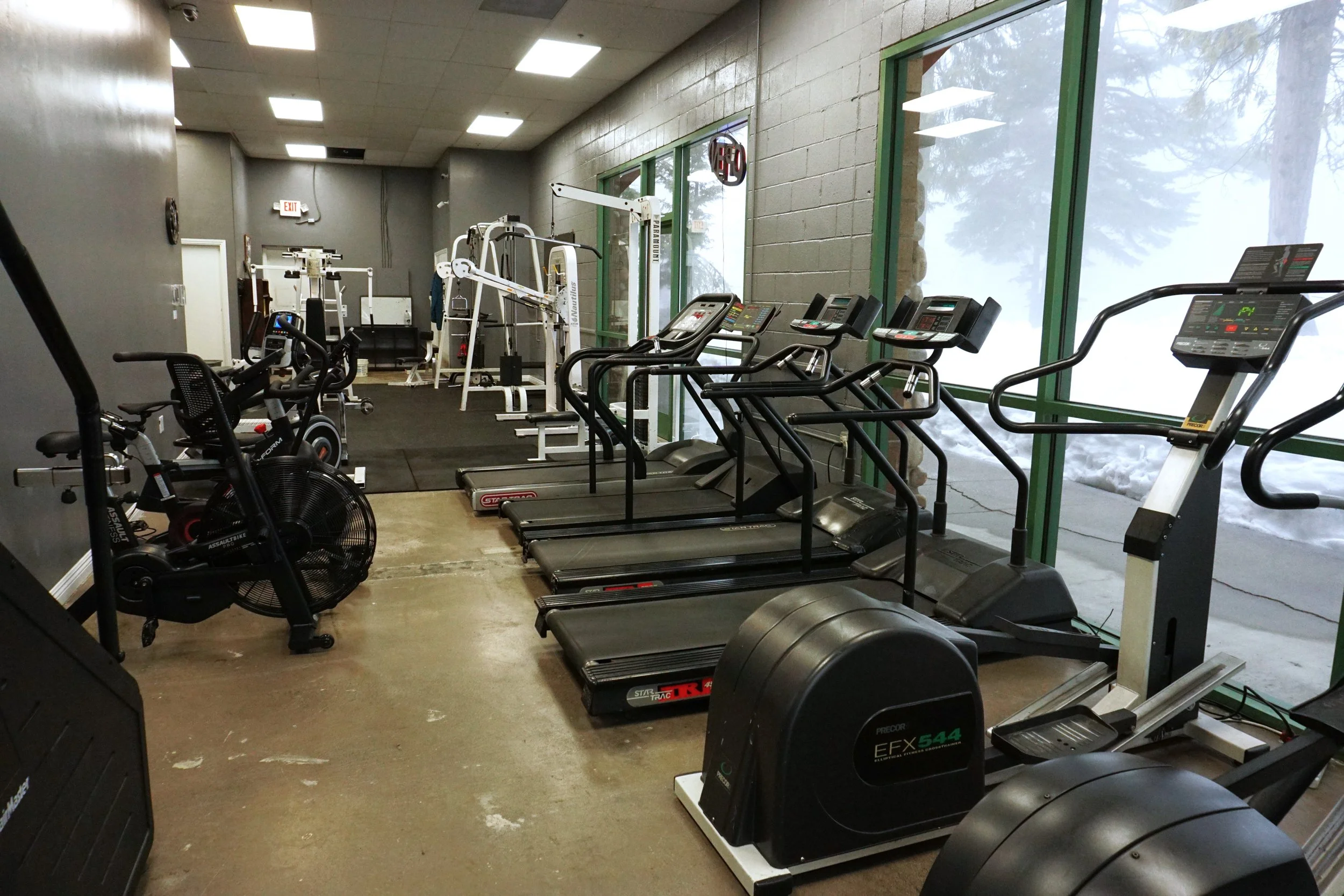 About — StoneRootsGym