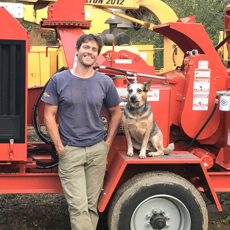 Asheville Arborist Tree Services | Local Tree Removal & Trimming ...