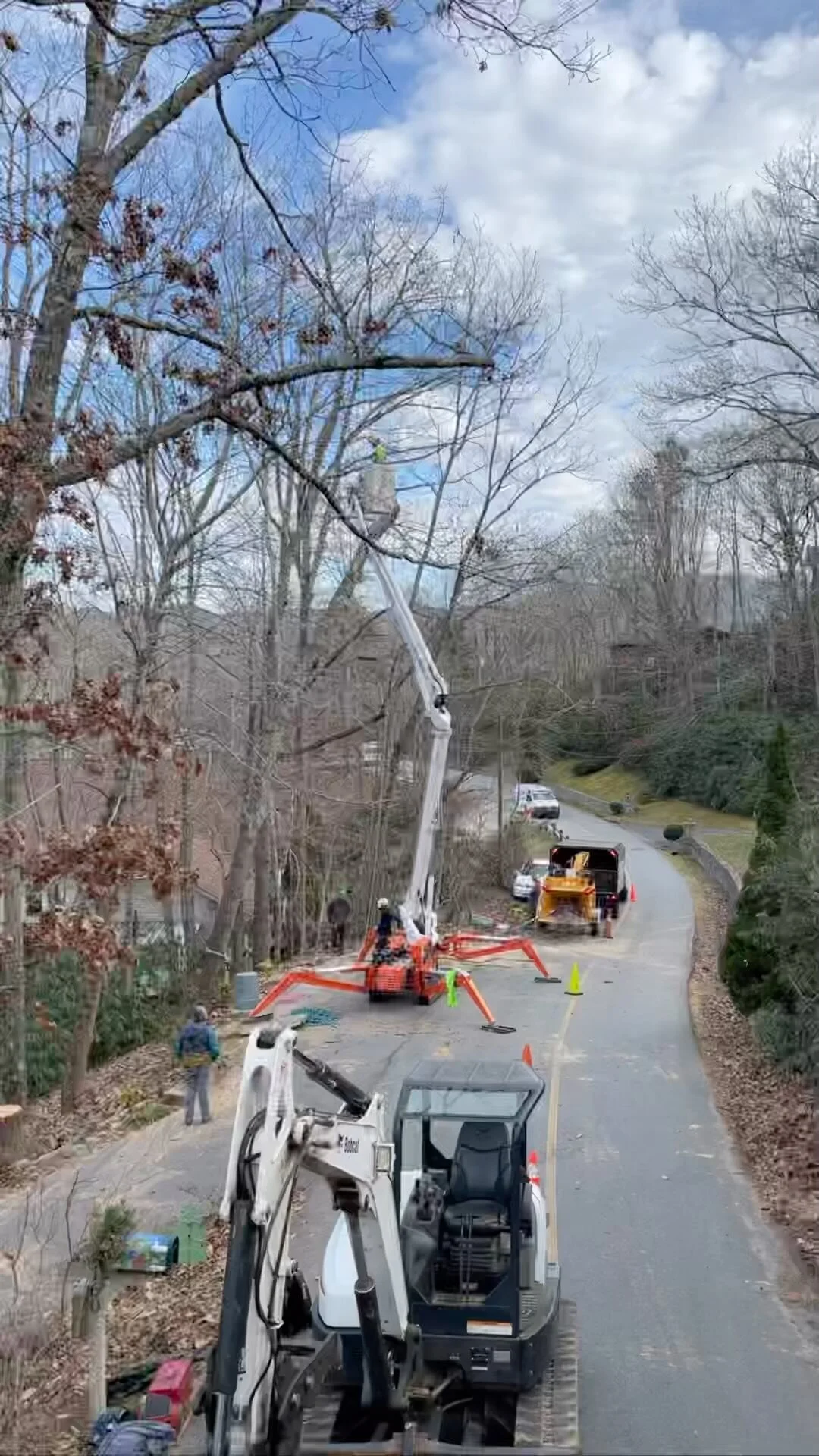 Asheville Arborist Tree Services | Local Tree Removal & Trimming ...