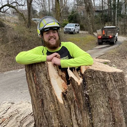Asheville Arborist Tree Services | Local Tree Removal & Trimming ...