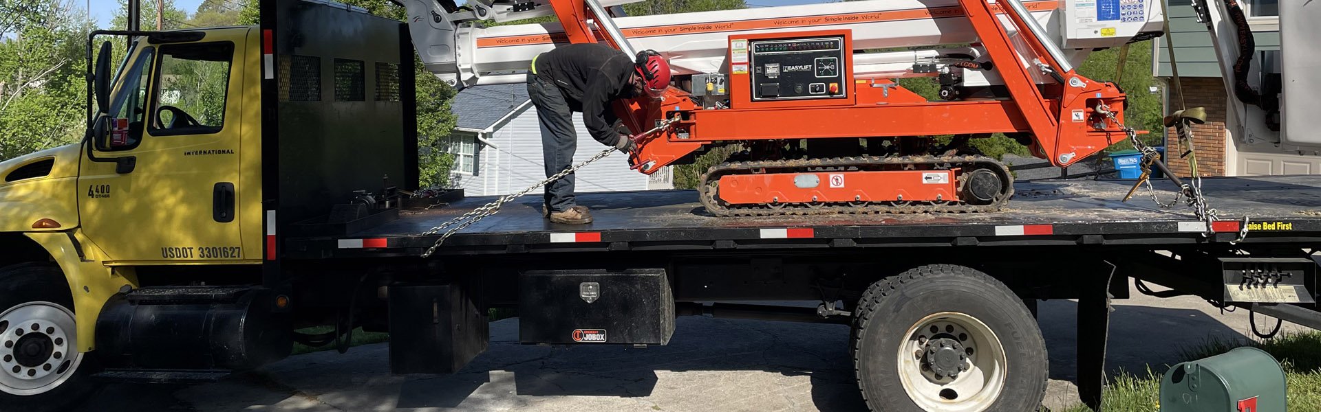 Asheville Arborist Tree Services | Local Tree Removal & Trimming ...