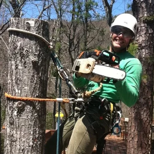 Asheville Arborist Tree Services | Local Tree Removal & Trimming ...