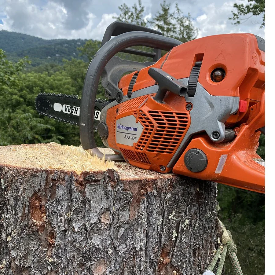 Asheville Arborist Tree Services | Local Tree Removal & Trimming ...