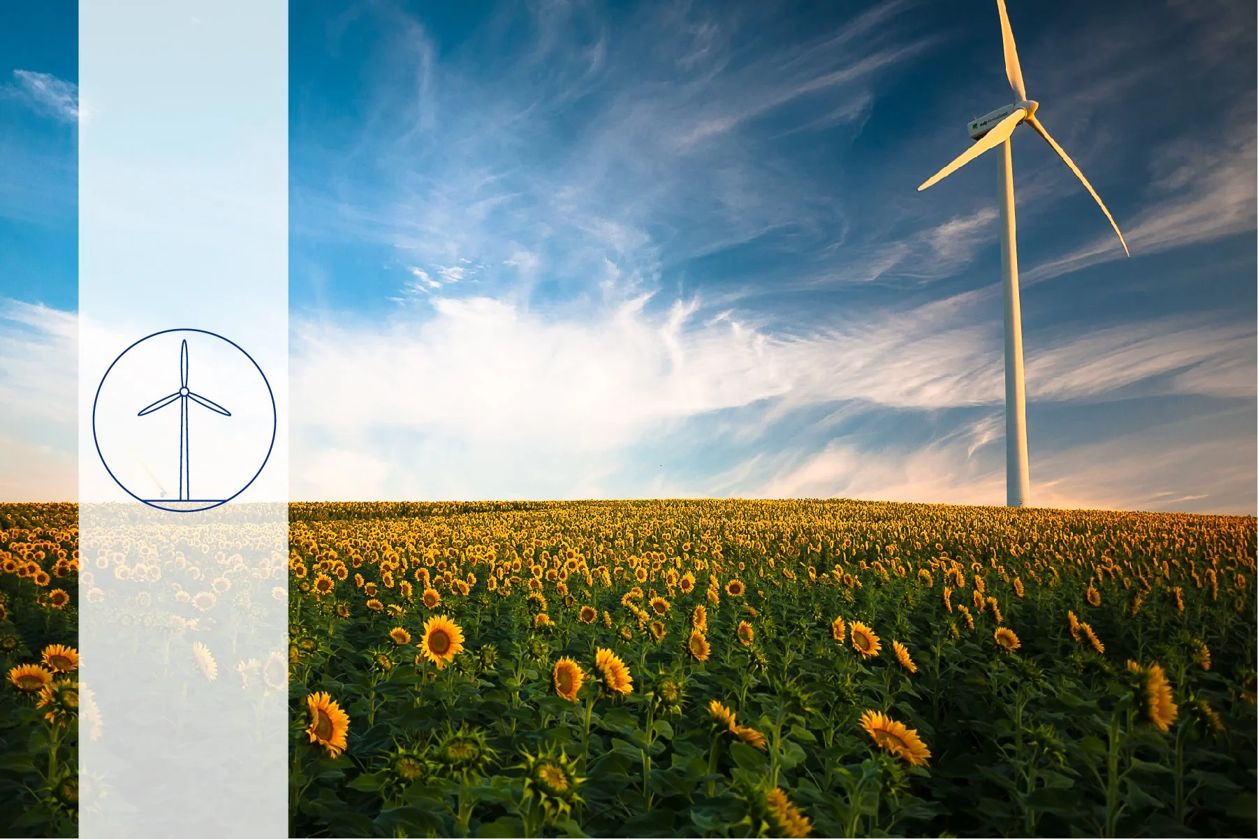 Blog — The Hope Symbol Project