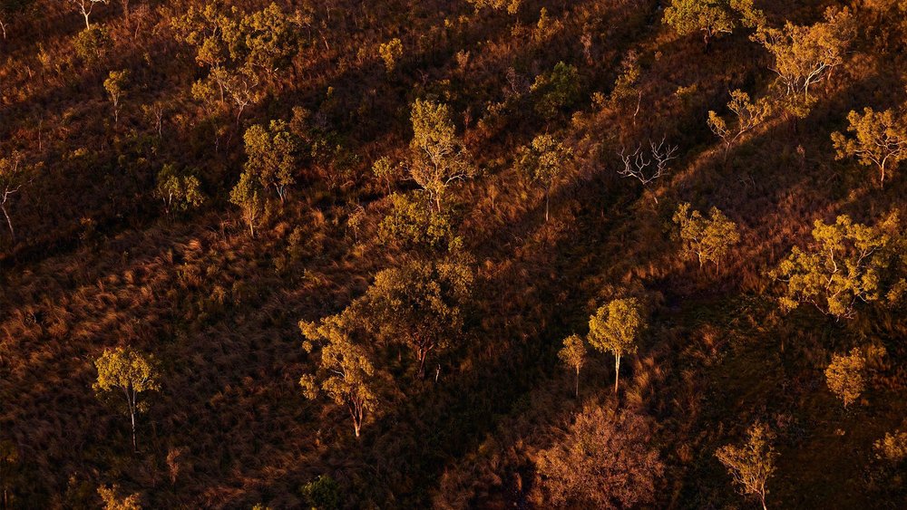 Destination Guide | Mount Hart Wilderness Lodge