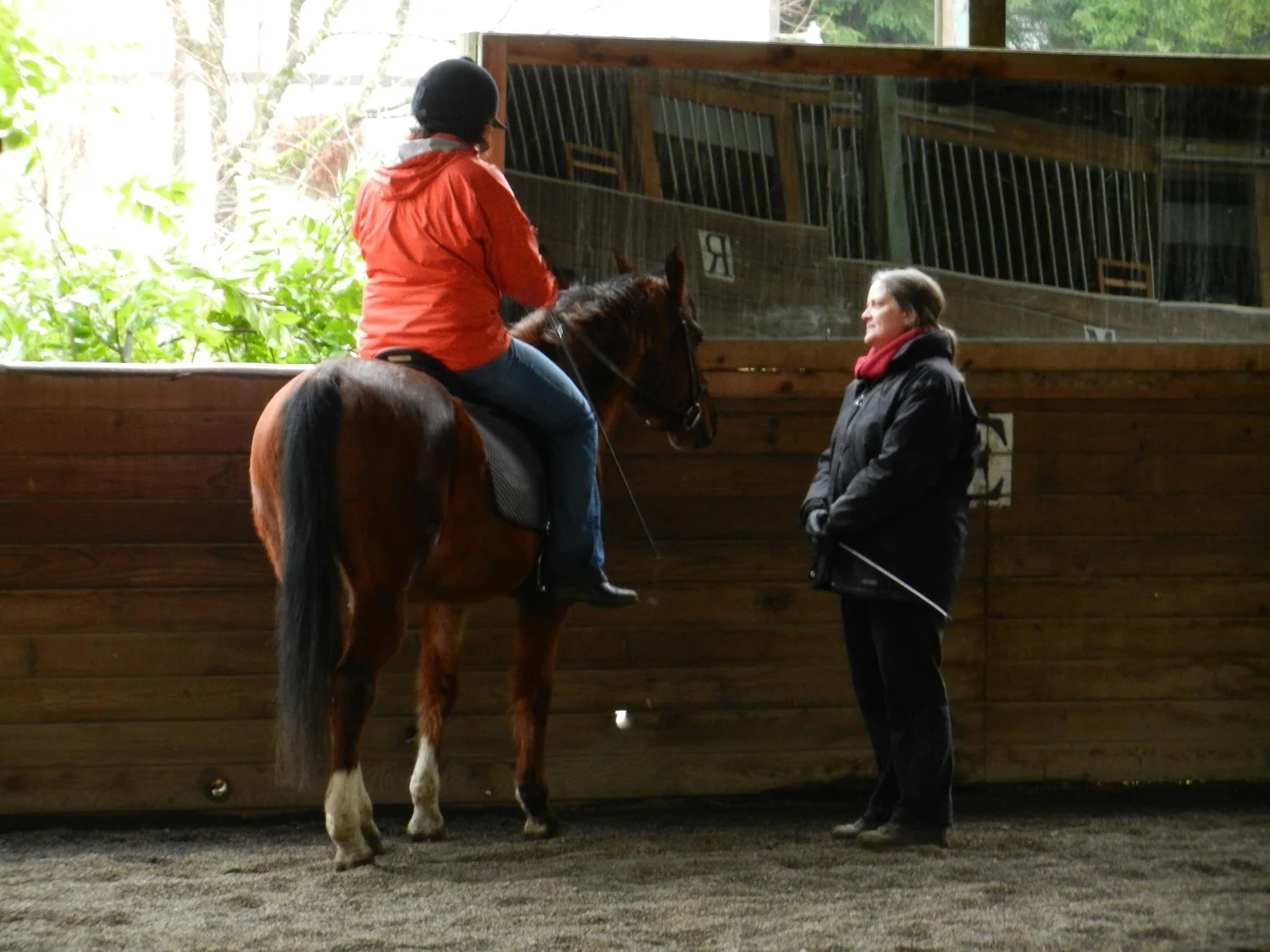Foundation for the Equestrian Arts