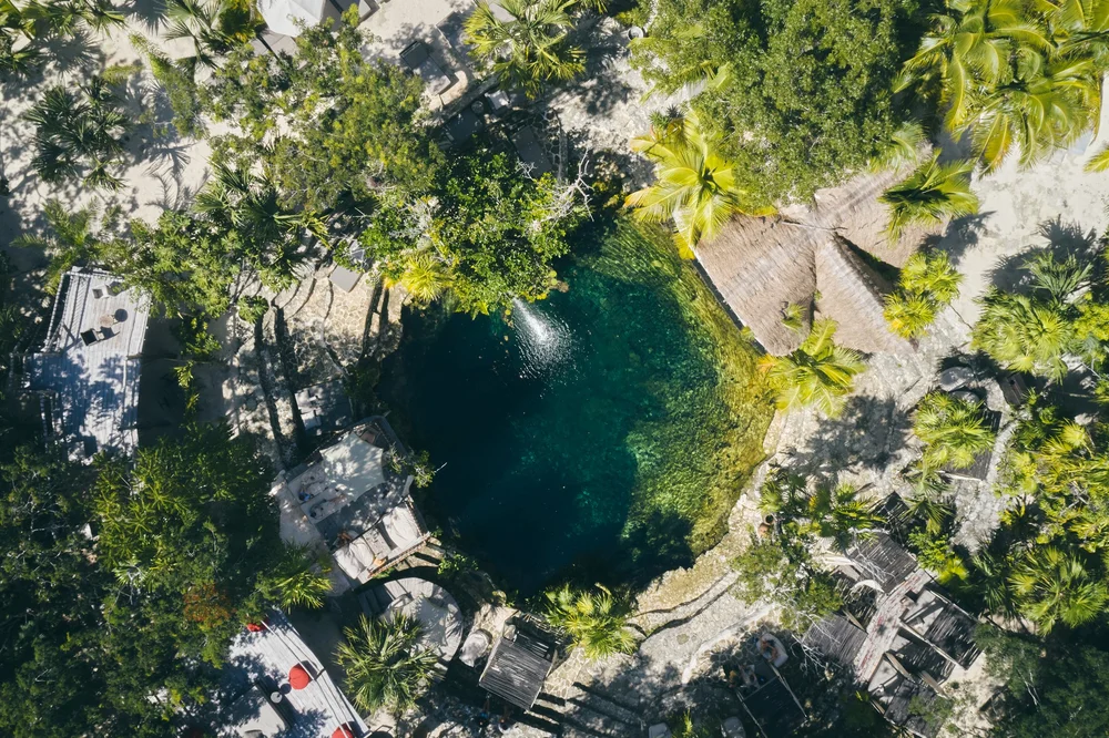 Natural Cenote in Tulum - Visit Vesica Tulum — Vesica Tulum
