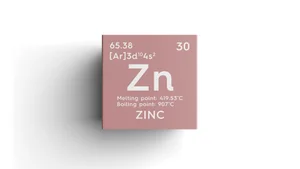 How Much Zinc Do You Need Daily? | Zinc Intake Guide