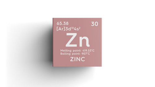How Much Zinc Do You Need Daily? | Zinc Intake Guide