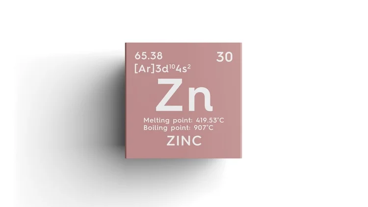 How Much Zinc Do You Need Daily? | Zinc Intake Guide