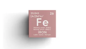 How Much Iron Do You Need Daily? | Iron Intake Guide