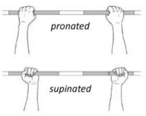 Pull-up Bar Exercises for Beginners: Ultimate Guide — Kairos Online