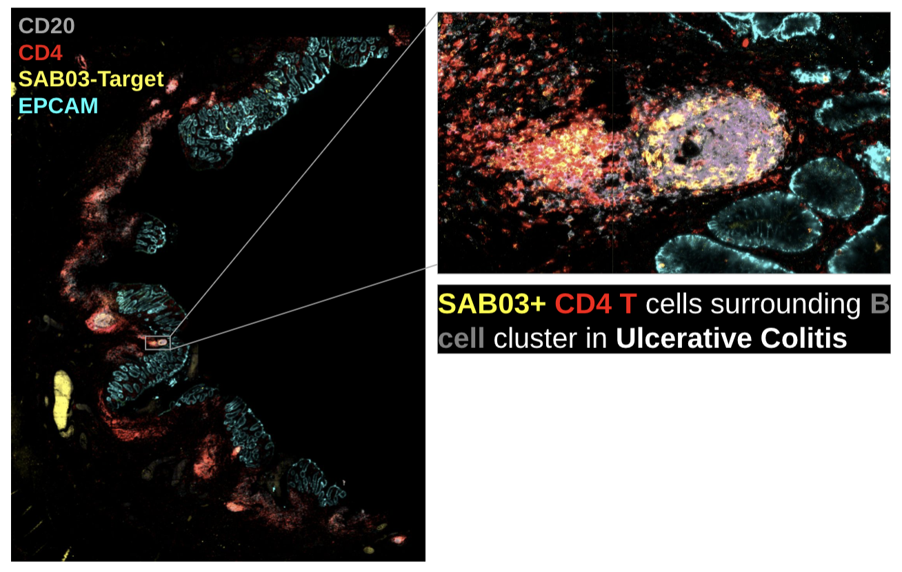 platform — Santa Ana Bio