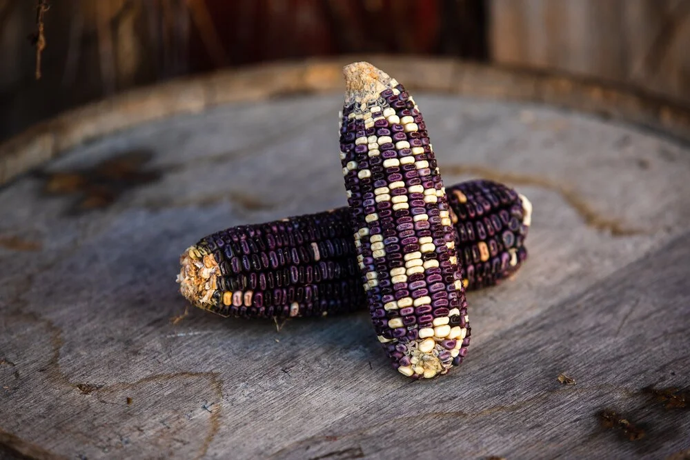 Sugar Works Distillery