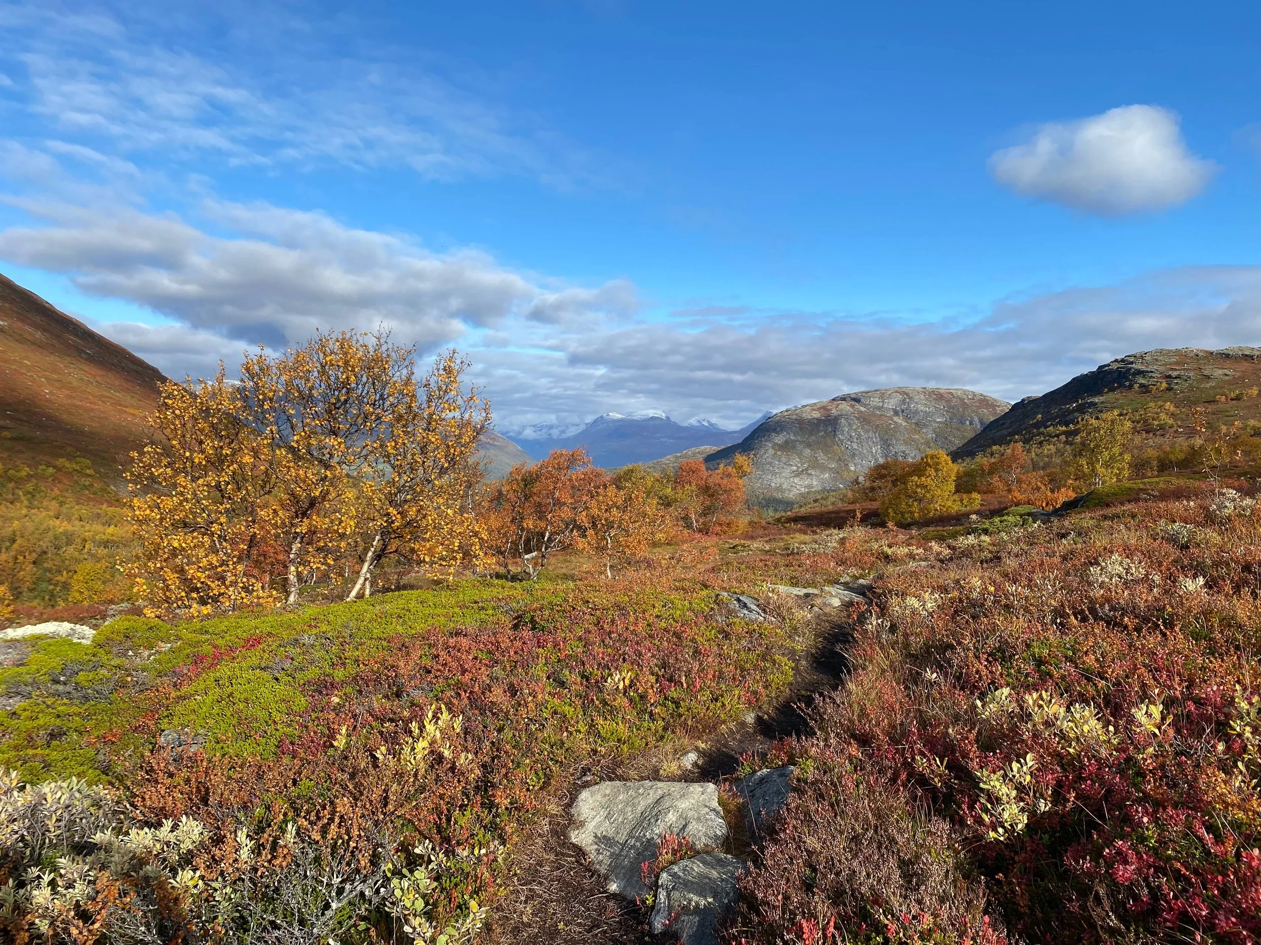 Samtaleterapi og familieterapi. Ingvil Øisetad Løvik