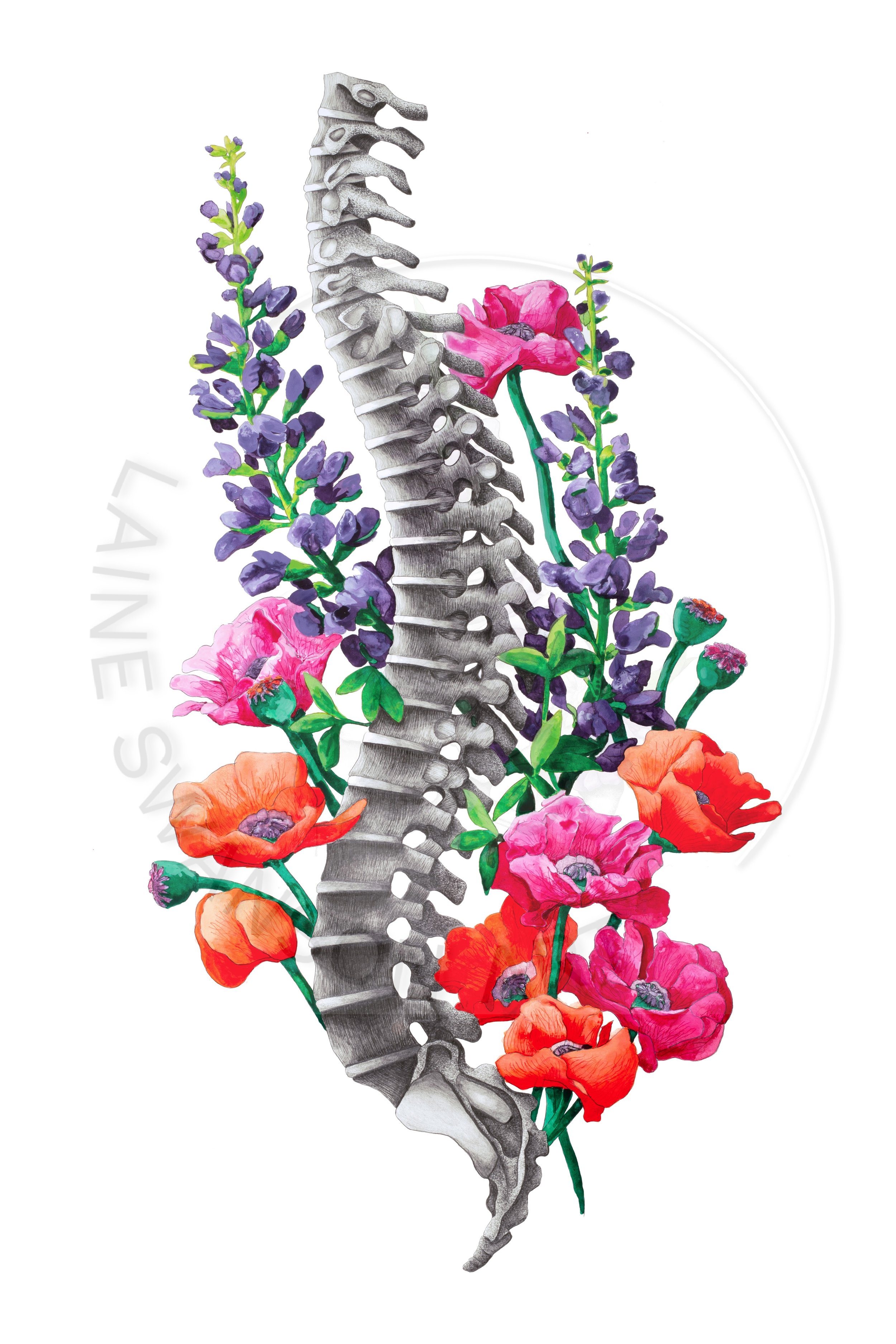 General 2 — Calendula Gallery