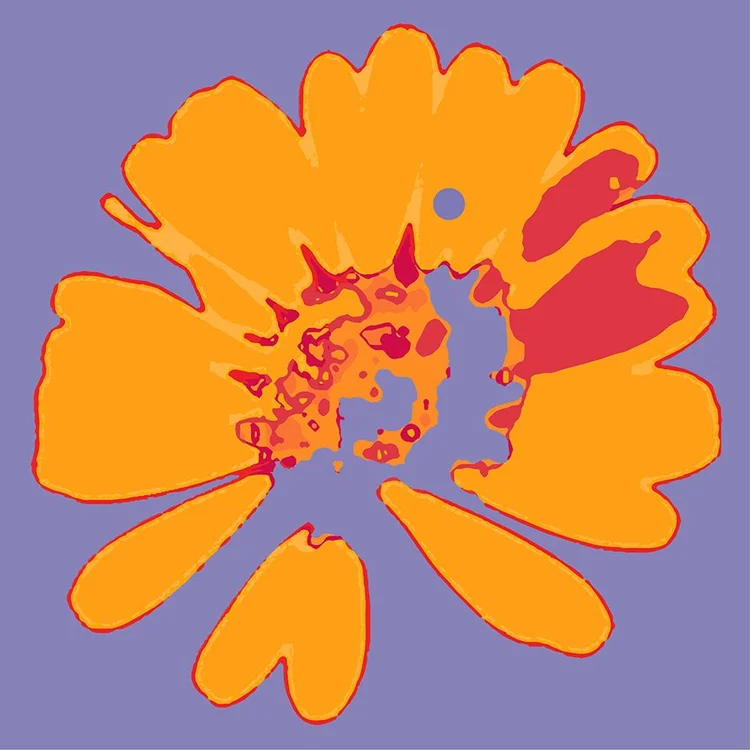Calendula Gallery